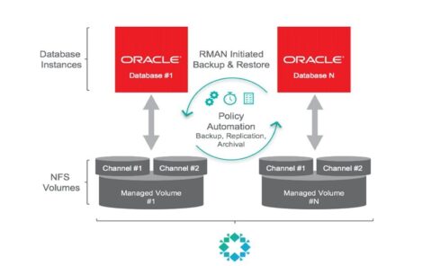 Managing Oracle Database Backups Using Rubrik | S-Square